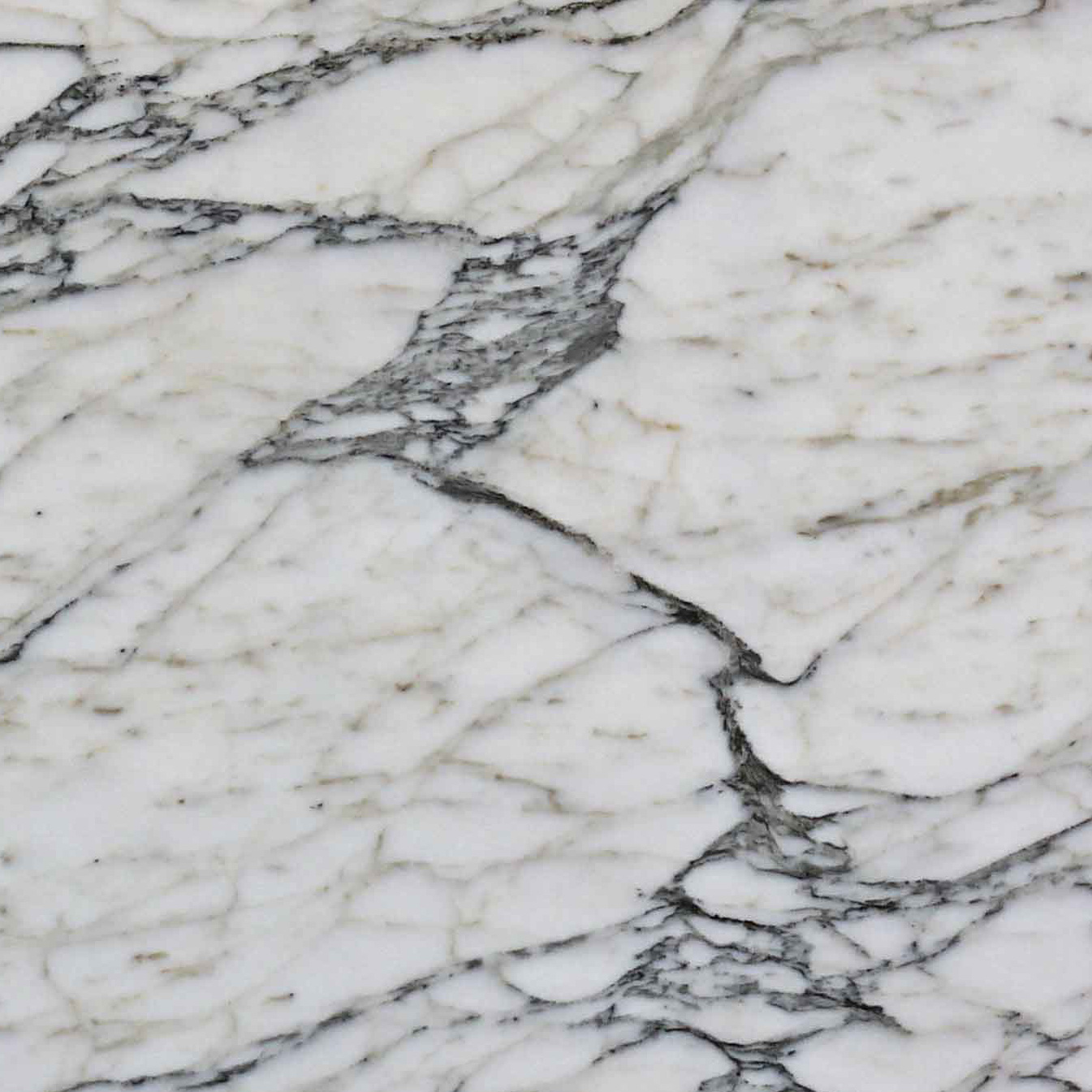 Calacatta Tucci - Apex Stone