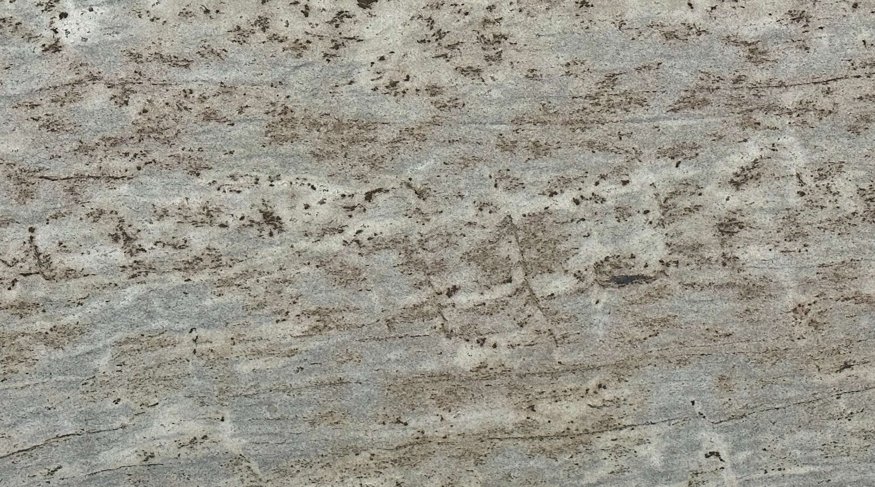 Verde Eucalyptus - Apex Stone